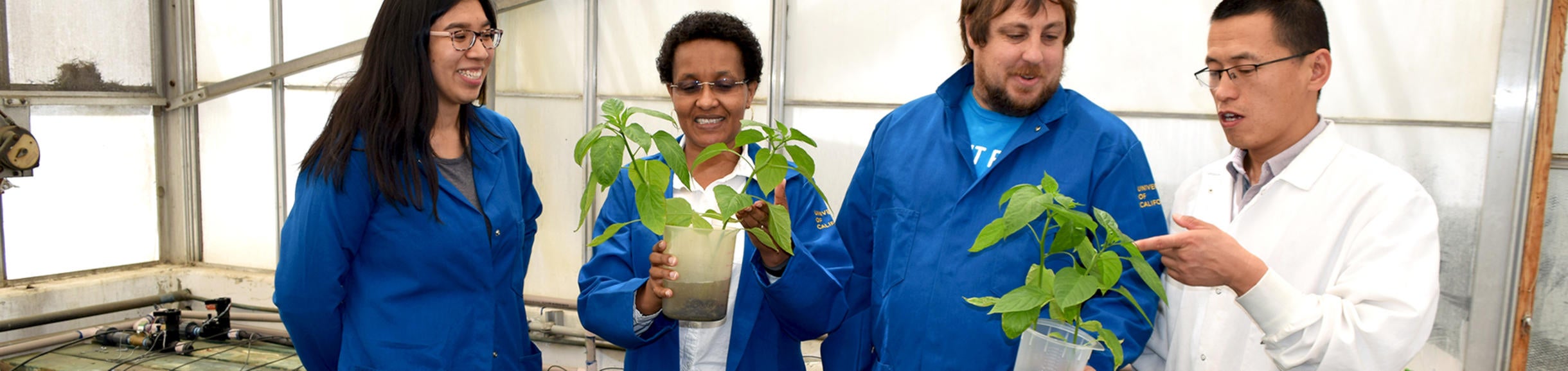 Plant Pathology Graduate Program | Microbiology & Plant Pathology